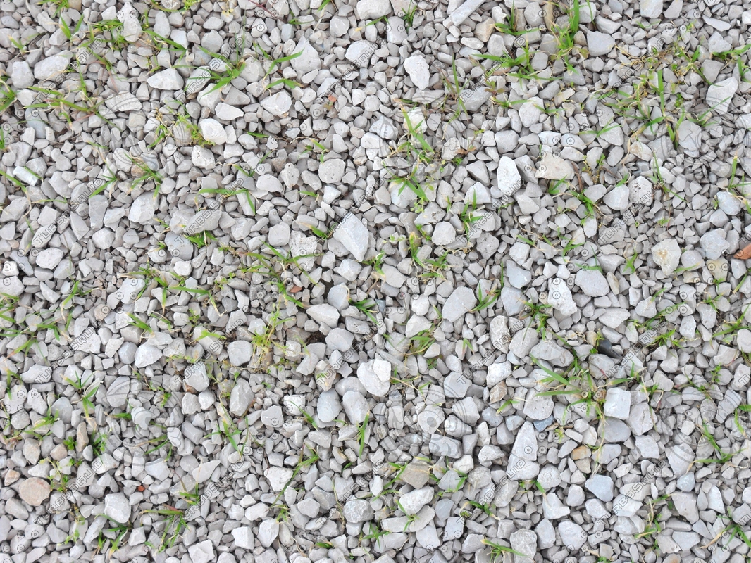 Texture JPEG pebble grass weed