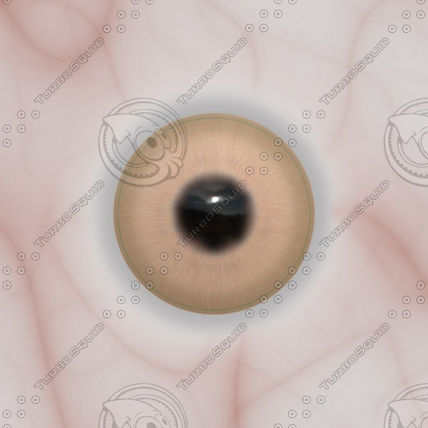 Texture PNG human eye texture