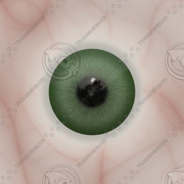 Texture PNG human eye texture