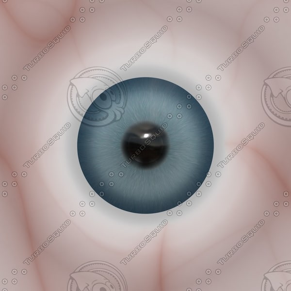 Texture PNG human eye texture