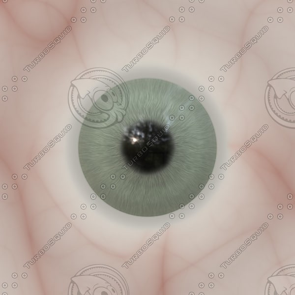 Texture PNG human eye texture