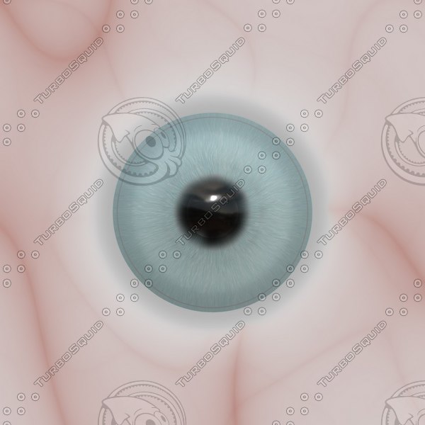 Texture PNG human eye texture
