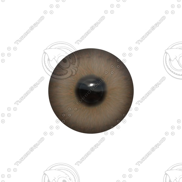 Texture PNG human eye texture