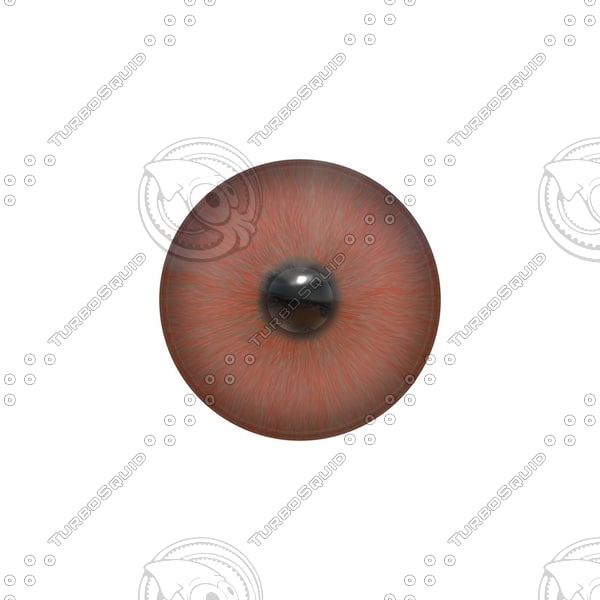 Texture PNG human eye texture