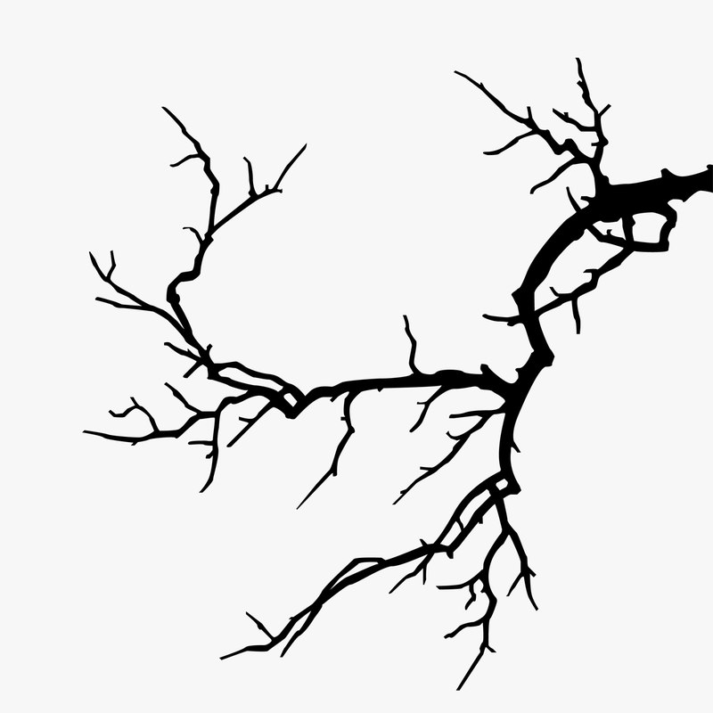 Shapes tree branch cherry