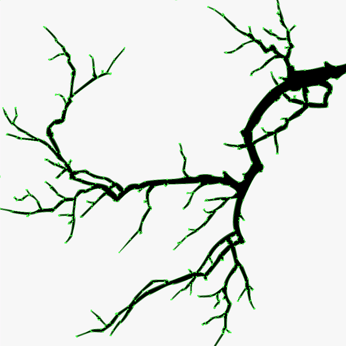 Shapes tree branch cherry