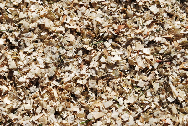 Texture JPEG mulch texture mulched