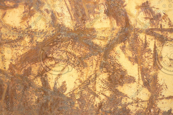 Texture JPEG Metal rust
