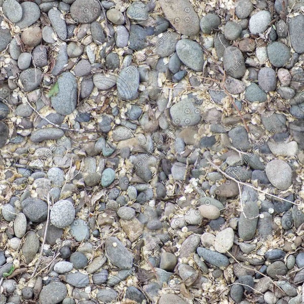 Riverbed 3D Models and Textures | TurboSquid.com