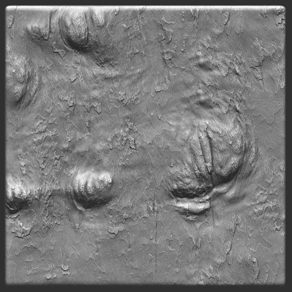 Texture Photoshop bark alpha zbrush