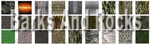 Texture wood sky tree