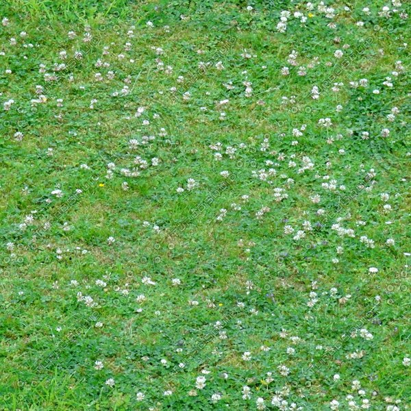 Texture JPEG Grass Tiled Flower
