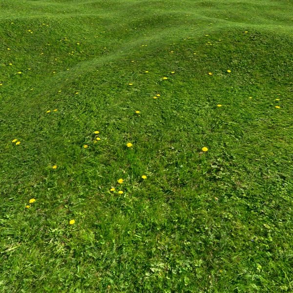 Texture JPEG grass lawn terrain