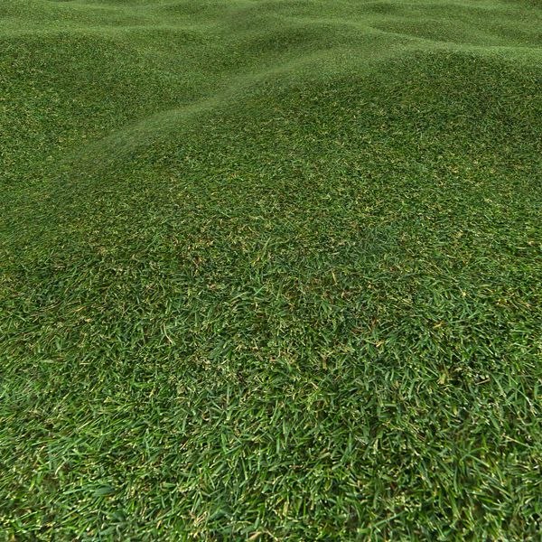 Texture JPEG grass lawn terrain