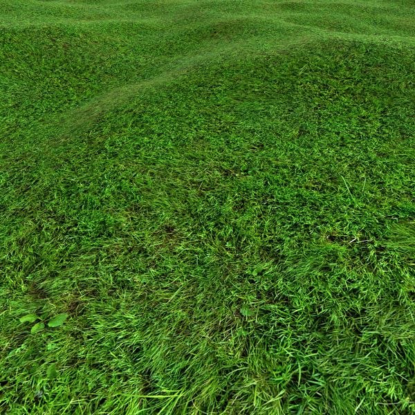 Texture JPEG grass lawn terrain