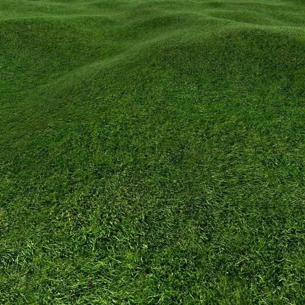 Texture JPEG grass lawn terrain