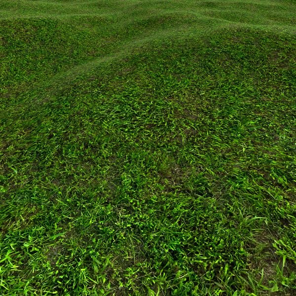 Texture JPEG grass lawn terrain