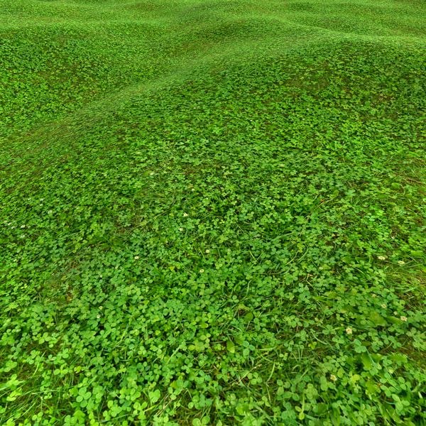 Texture JPEG grass lawn terrain