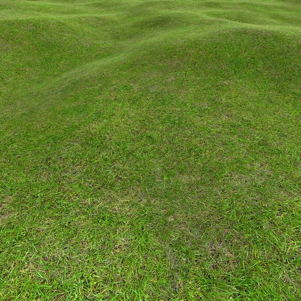 Texture JPEG grass lawn terrain