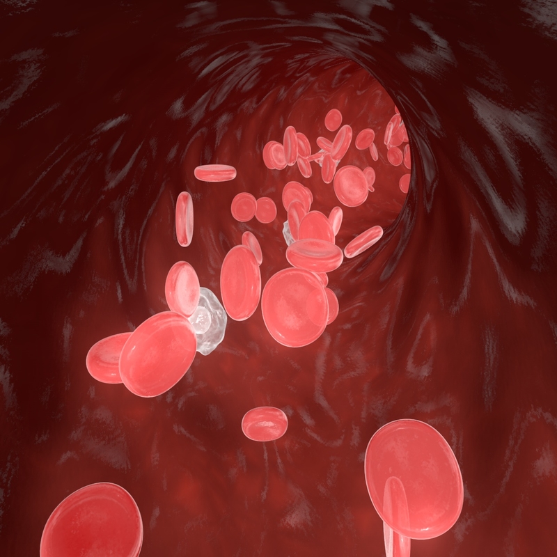 Animation blood flow capilar
