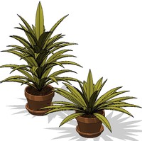 Building Revit Family Plant House Parametric