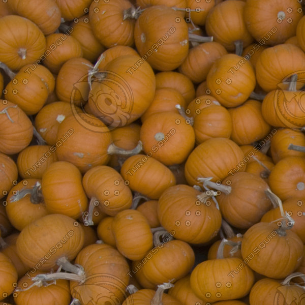 Texture JPEG pumpkin halloween thanksgiving