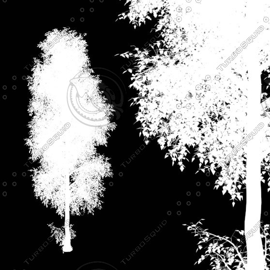 Texture PNG tree alpha channel