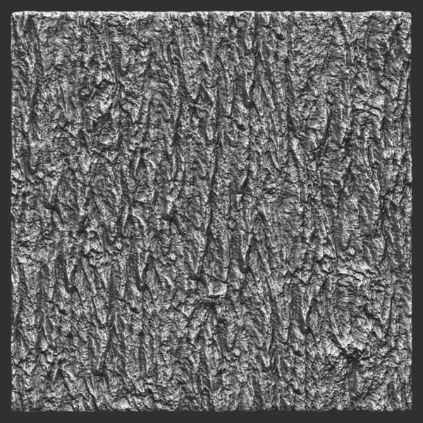 Texture Photoshop bark alpha zbrush