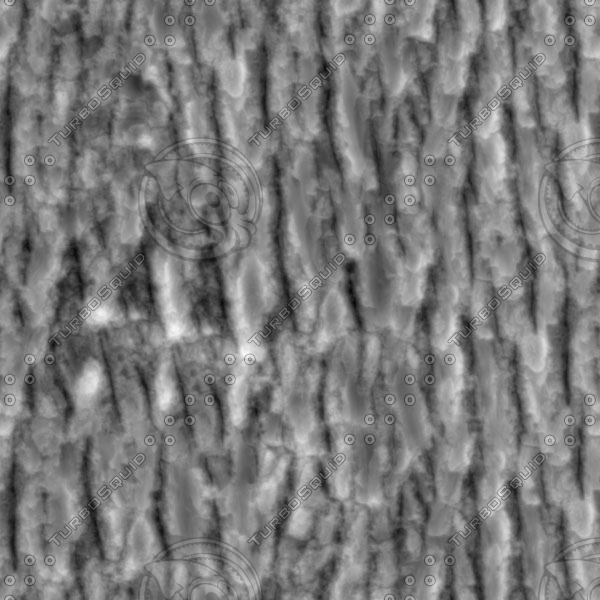 Texture Photoshop bark alpha zbrush