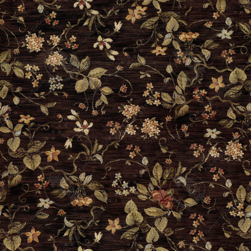 Texture Victorian Rug Carpet