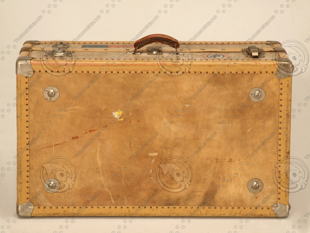 Texture JPEG suitcase set travel