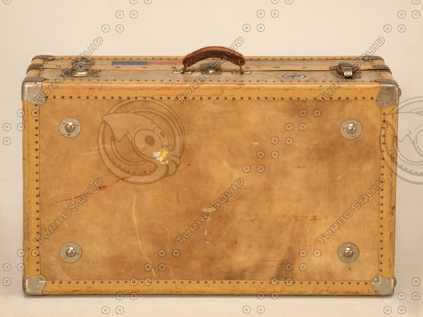 Texture JPEG suitcase set travel