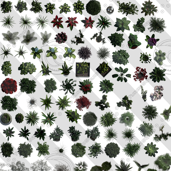 Texture Photoshop view plant plan