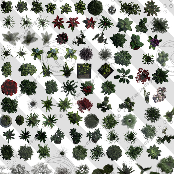 Texture Photoshop view plant plan