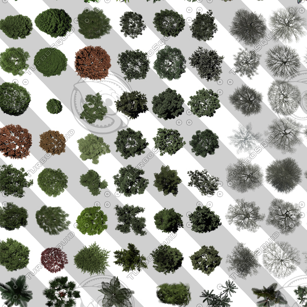 Texture Photoshop view plant plan