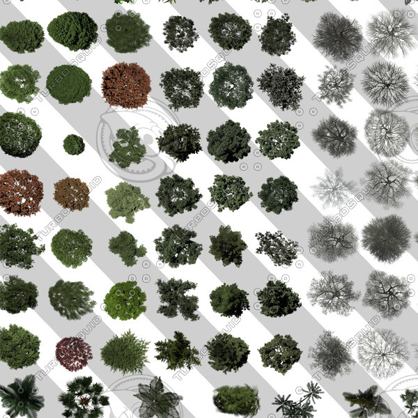 Texture Photoshop view plant plan