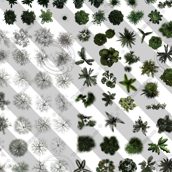 Texture Photoshop view plant plan