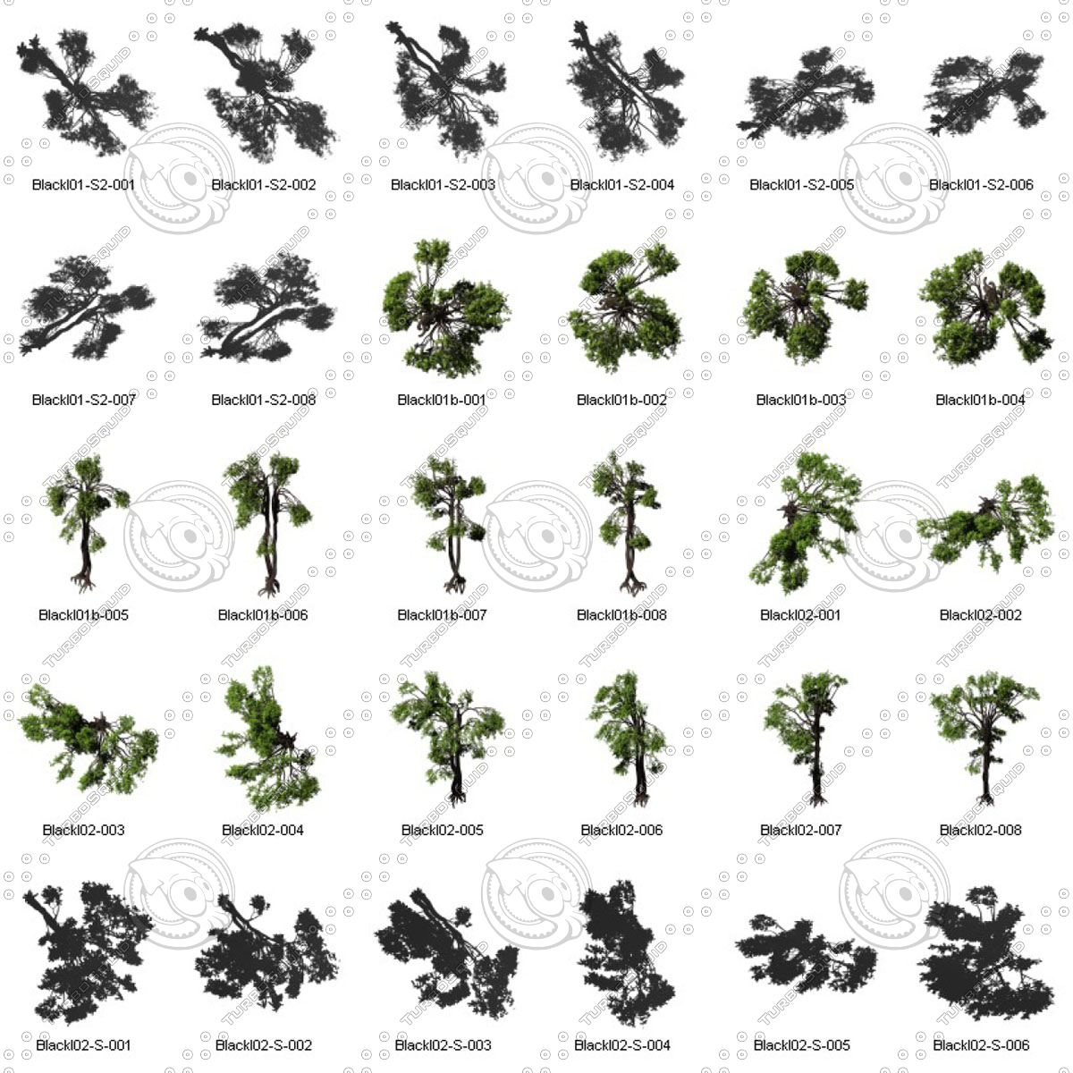 Texture TIFF Tree view birds