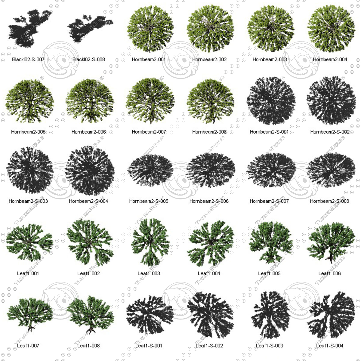 Texture TIFF Tree view birds