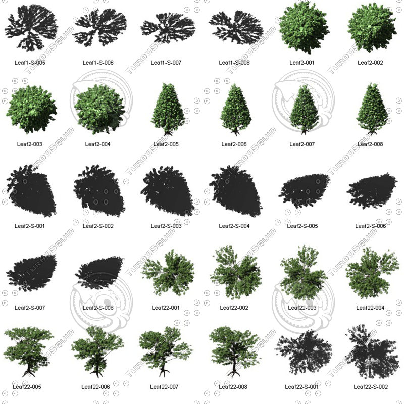 Texture TIFF Tree view birds