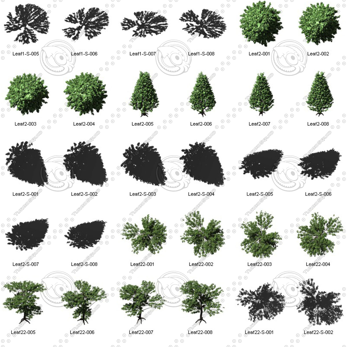 Texture TIFF Tree view birds