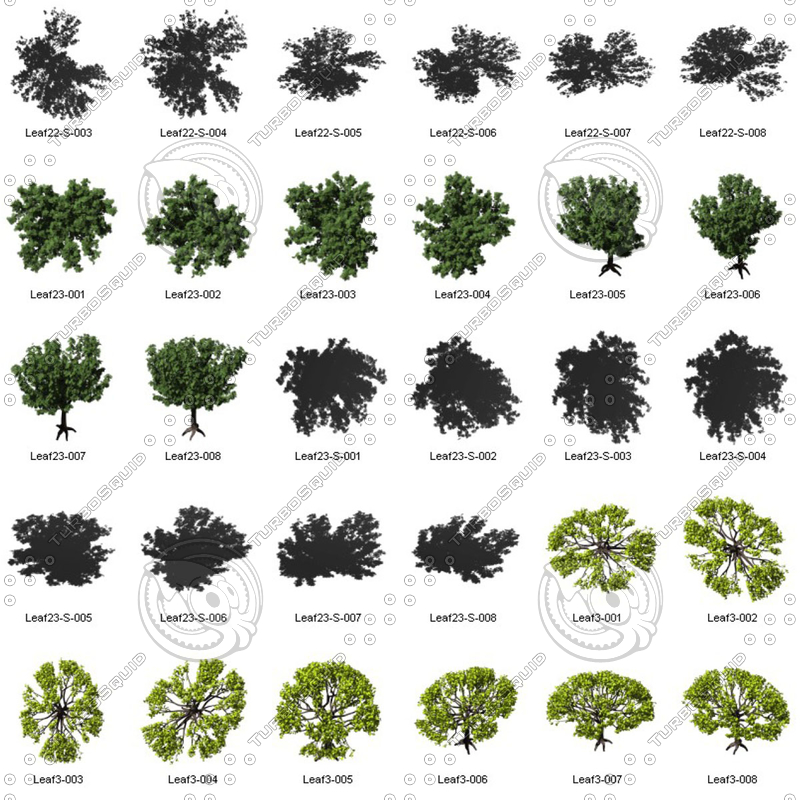 Texture TIFF Tree view birds