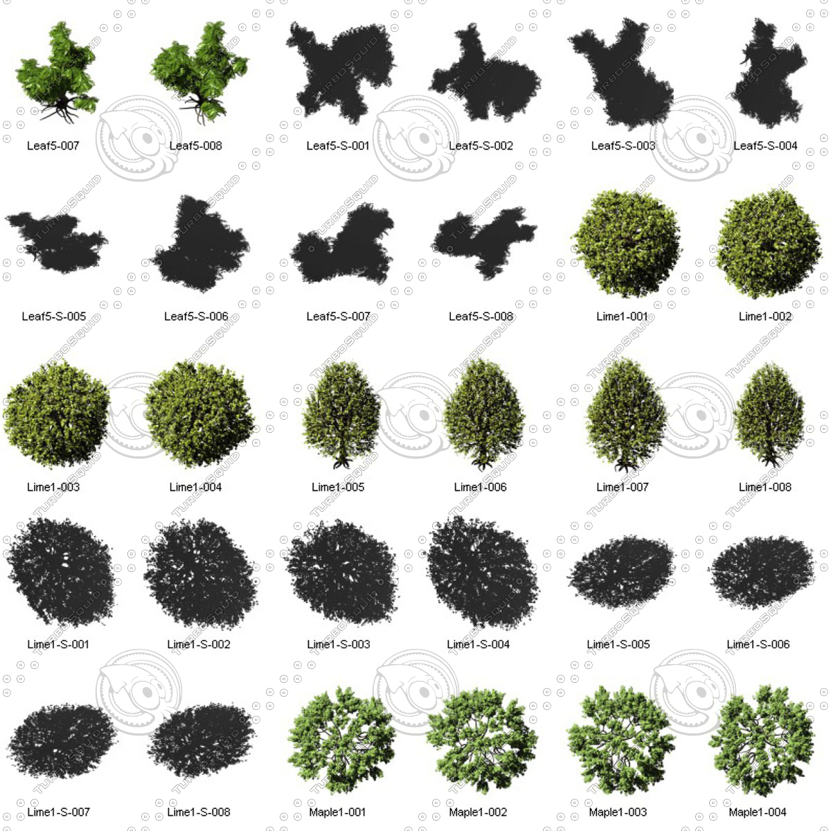 Texture TIFF Tree view birds