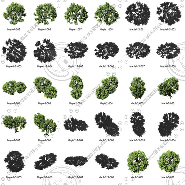 Texture TIFF Tree view birds