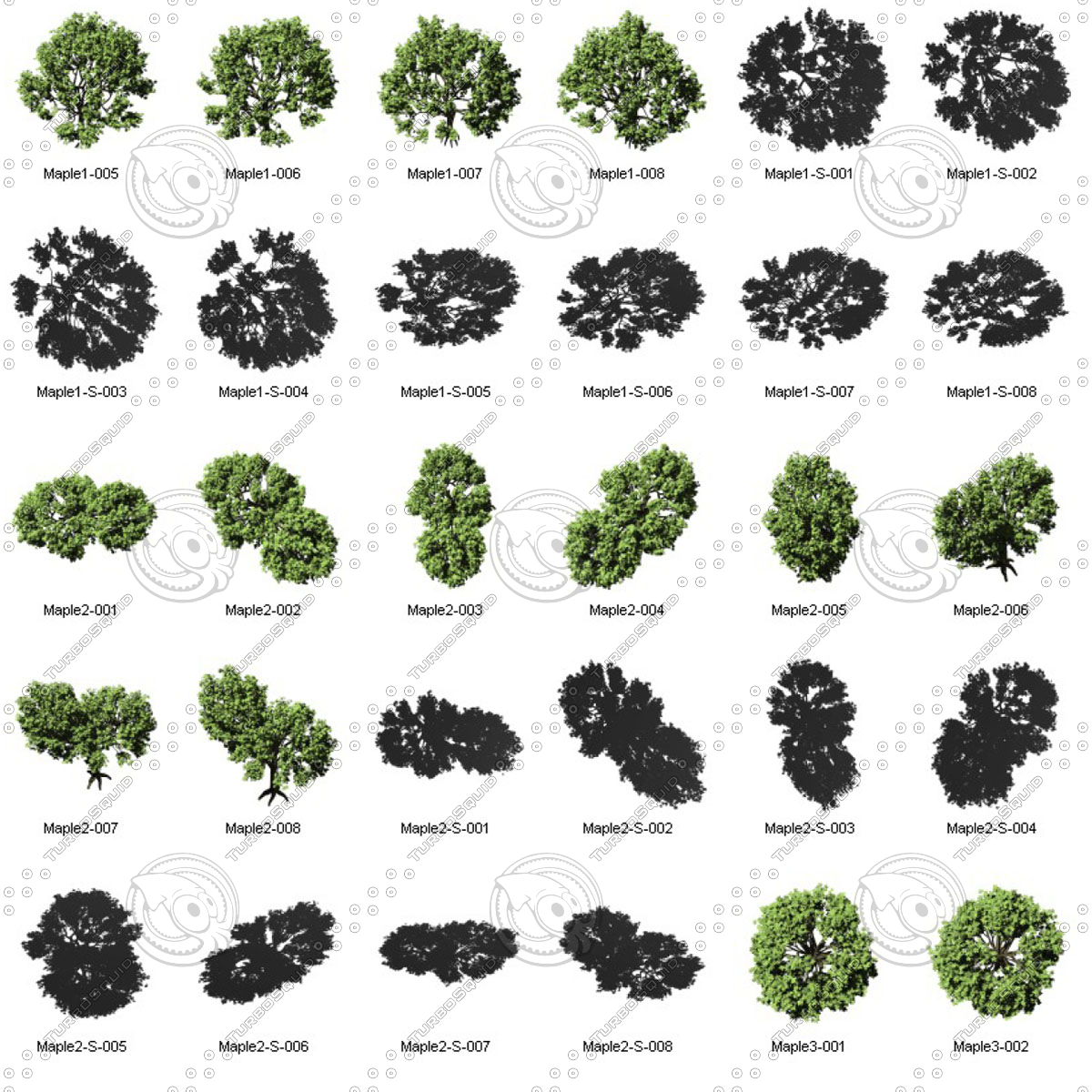 Texture TIFF Tree view birds