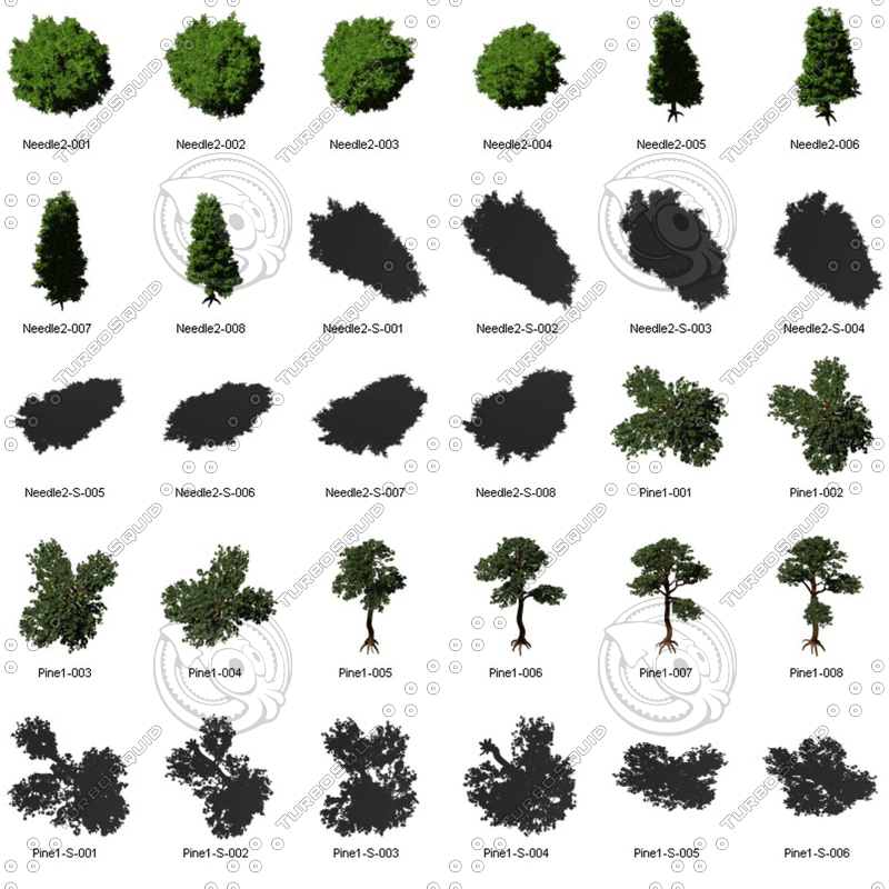 Texture TIFF Tree view birds