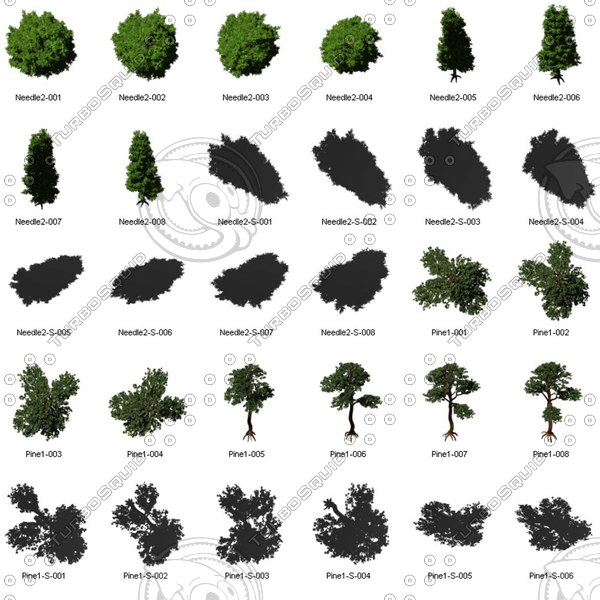 Texture TIFF Tree view birds