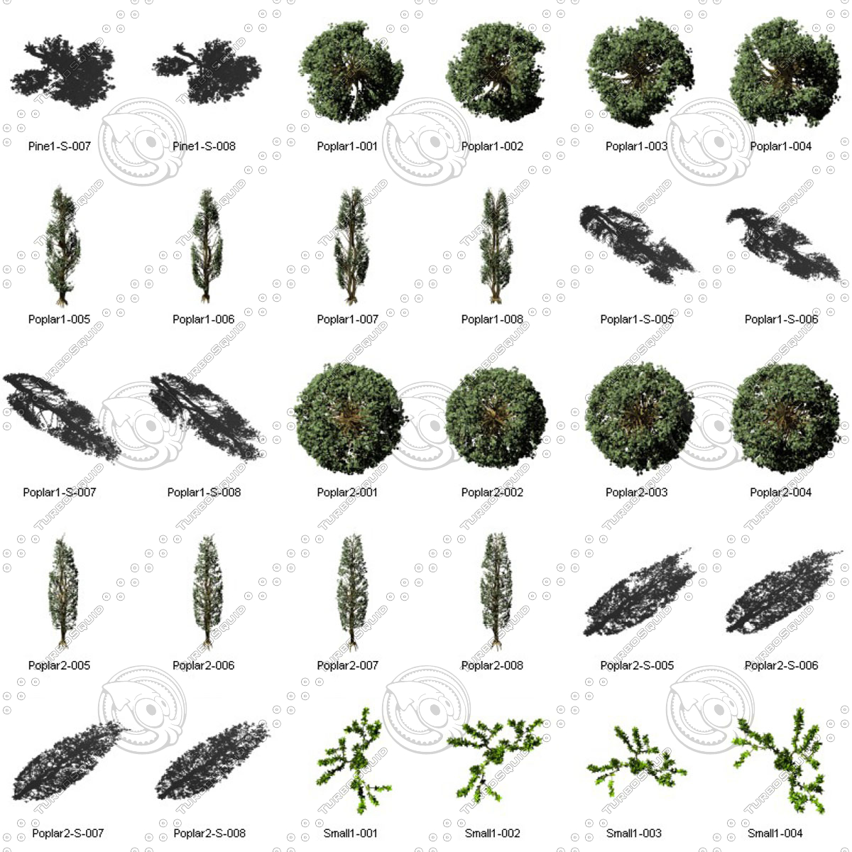 Texture TIFF Tree view birds