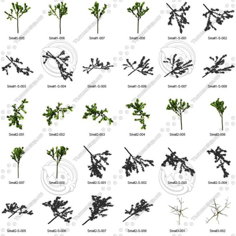 Texture TIFF Tree view birds