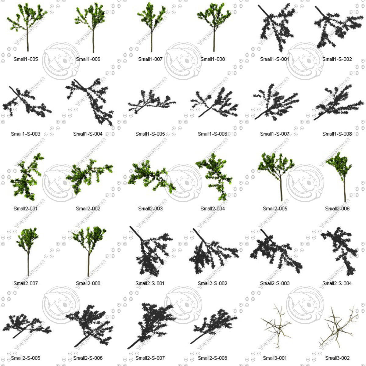 Texture TIFF Tree view birds